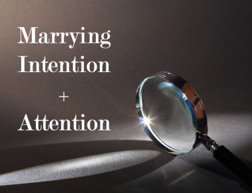 Excerpt from The Self-Compassion Workbook for OCD - OCD Treatment & Therapy