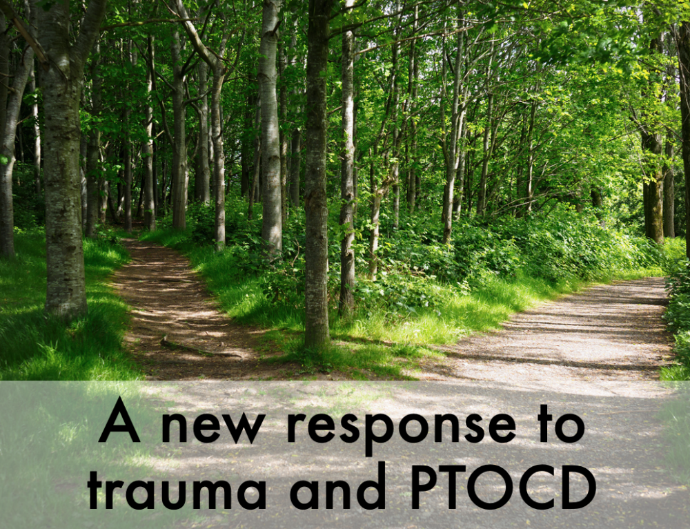 Using Erp Scripting For Ocd Aka Imaginal Exposure Ocd Treatment